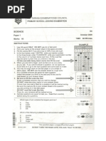 Psle English 2023 | PDF