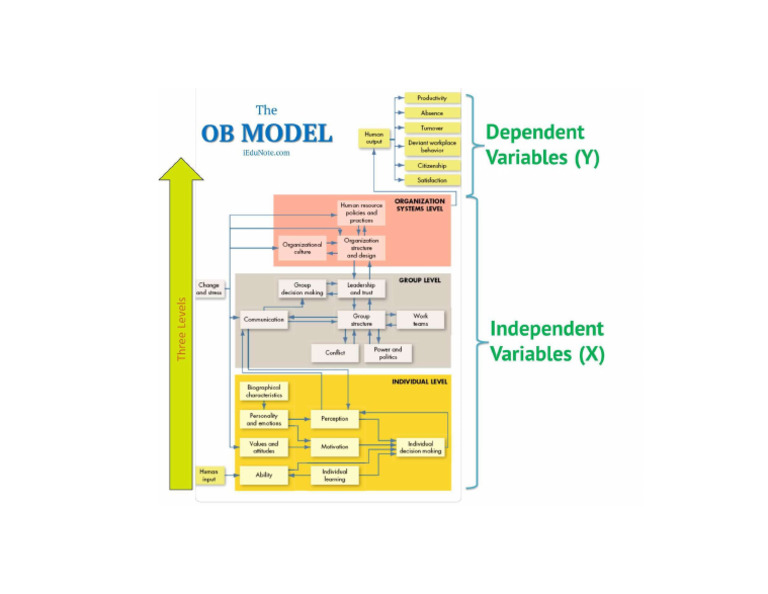 OB Model | PDF