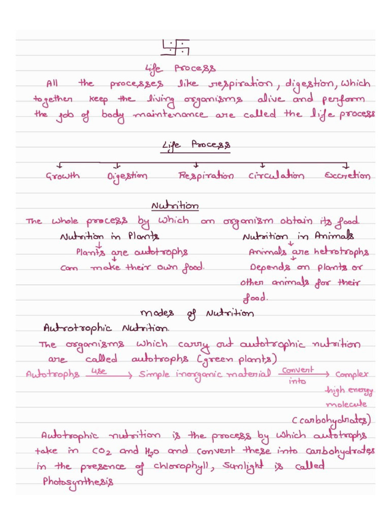 Life Process Handwritten Notes | PDF