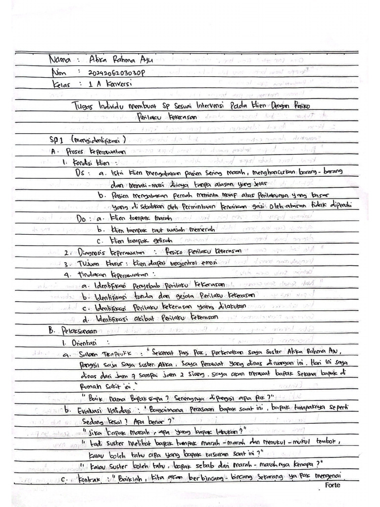 Tugas Individu SP 1 Intervensi RPK | PDF