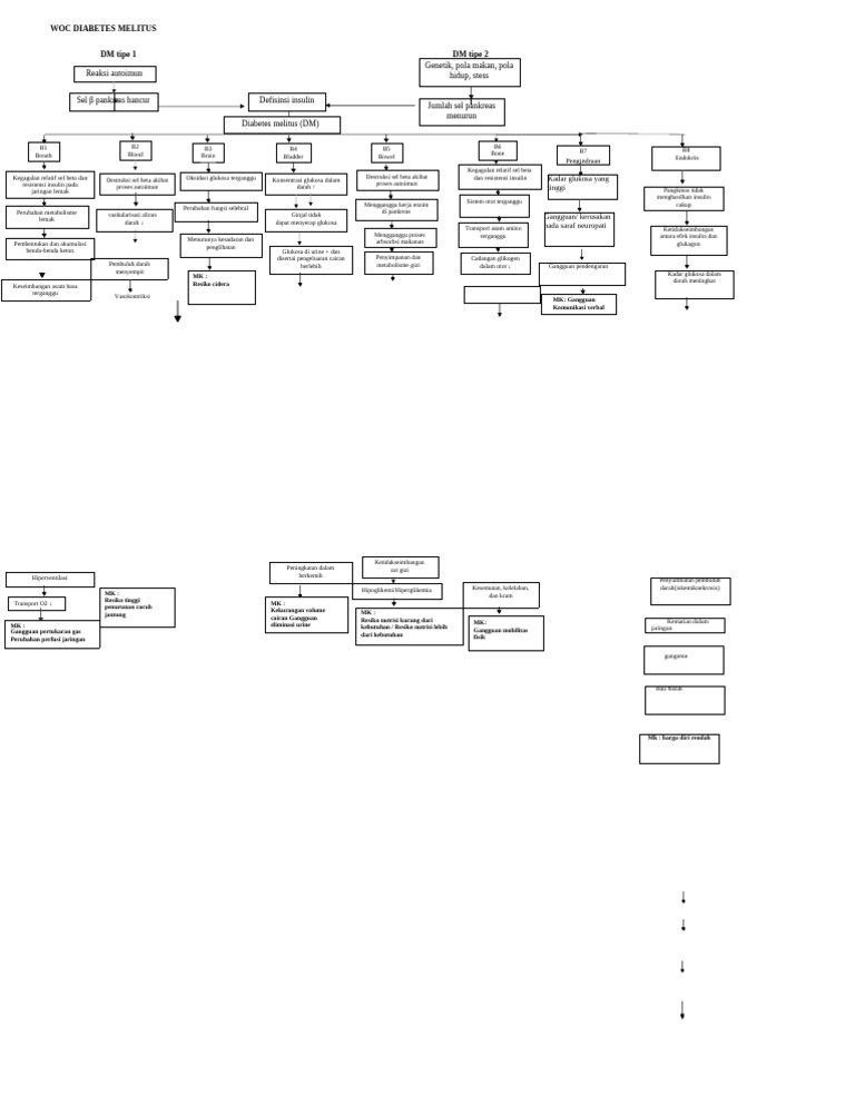 Woc Diabetes Melitus Kelompok 1 | PDF