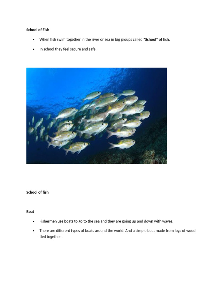 School of Fish | PDF