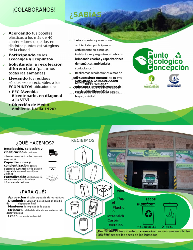 Folleto Pec Actualizado | PDF