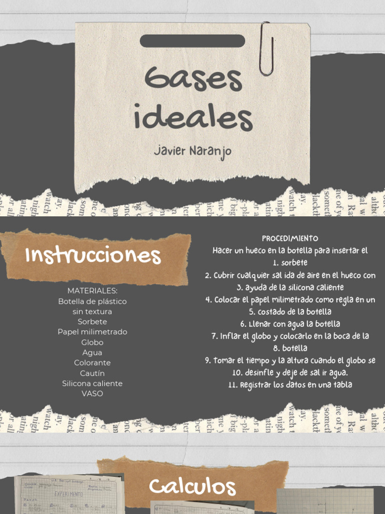 Experimento Javier Naranjo 3ro D | PDF