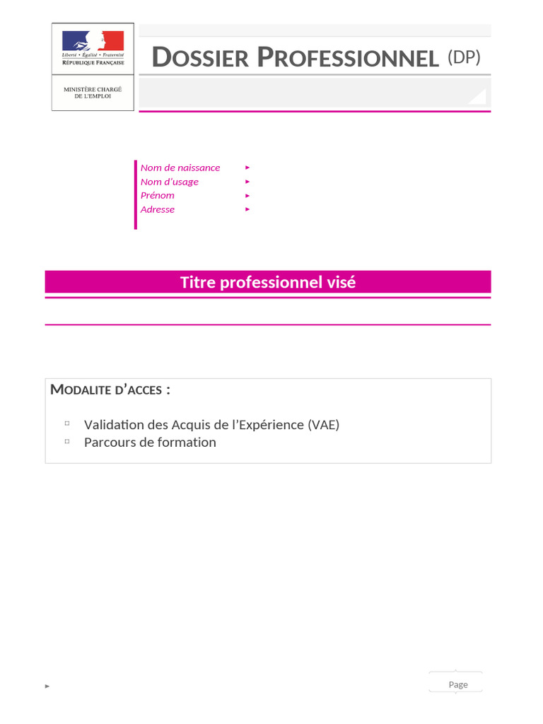 1-Dossier Professionnel Version Manuscrite | PDF