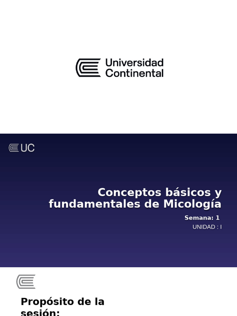 Clase 1 - Mico | PDF