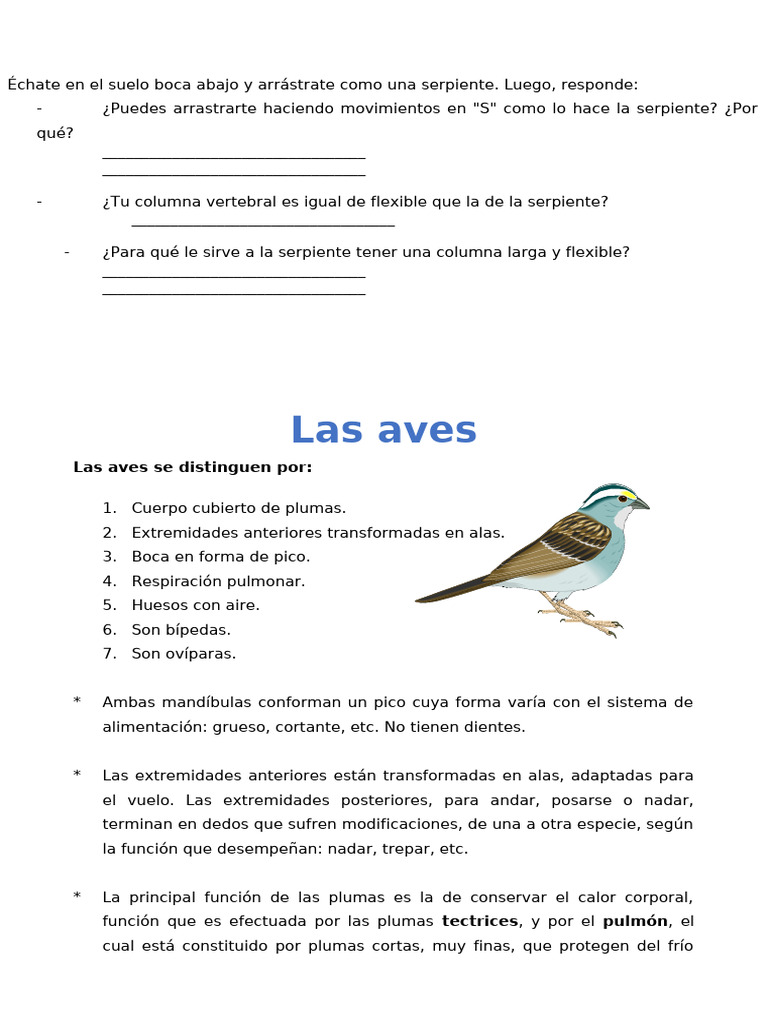 Ficha Los Reptiles y Las Aves para Cuarto de Primaria | PDF