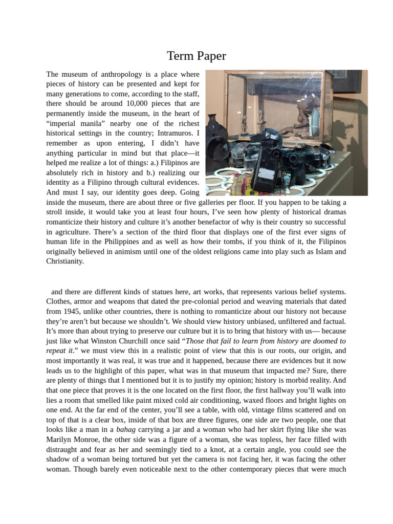 TERM PAPER STS | PDF