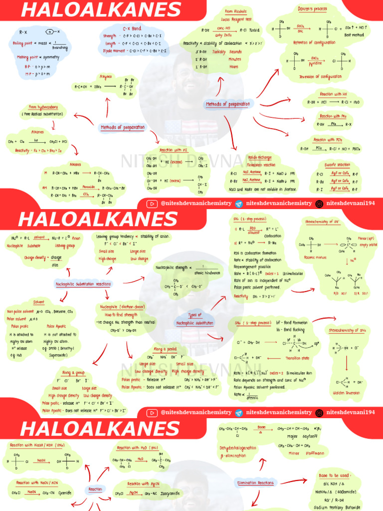 Haloalkanes Mindmap | PDF