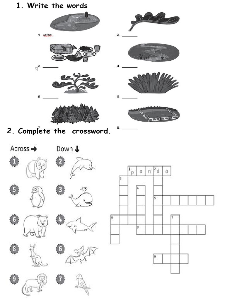 Units 6 & 7 Pre Test | PDF