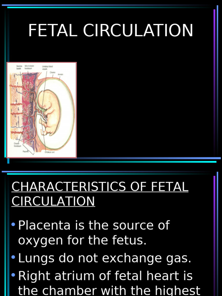 Fetal Circulation | PDF