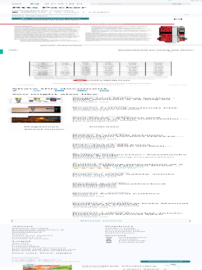 Rtts Packer Download Free PDF Valve Pump | PDF | Scribd | Pressure