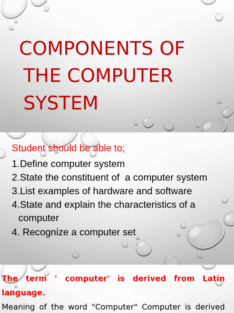 Components of The Computer System | PDF