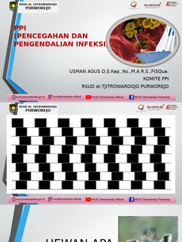 Materi Ppi | PDF