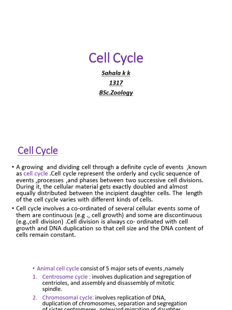 Cell Cycle | PDF