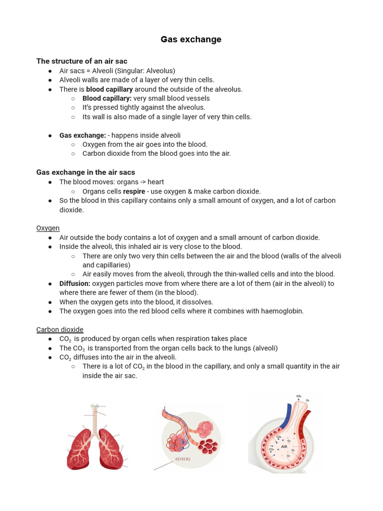 1.2 Gas exchange | PDF