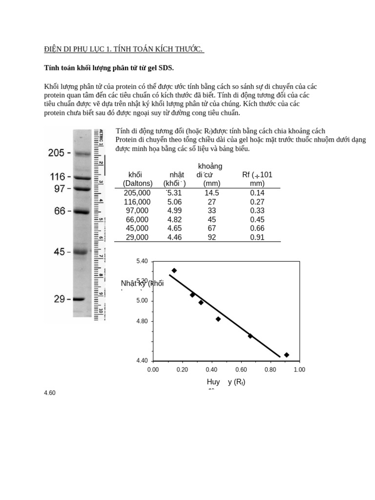 Khuong Sinh Dadich | PDF