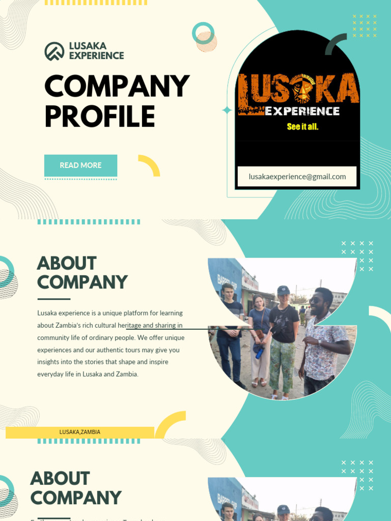 Blue Modern Professional Company Profile Presentation PDF | PDF