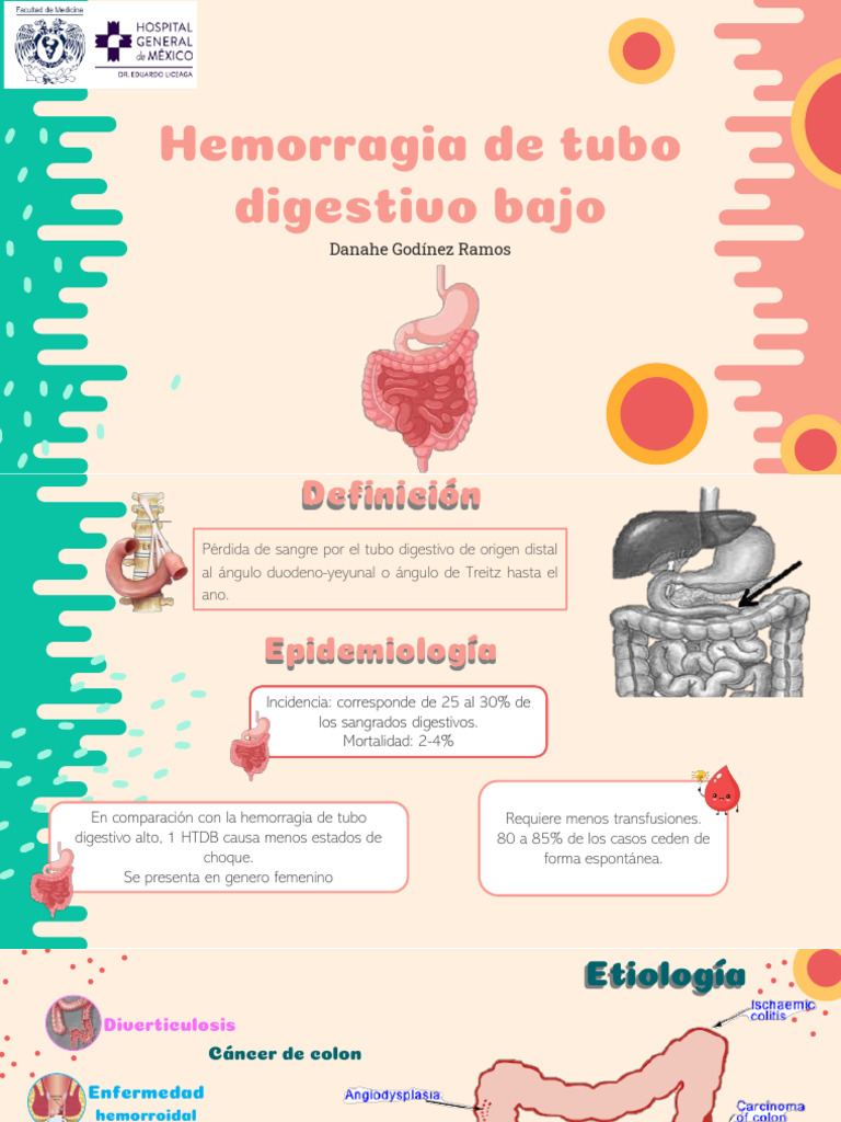 HTDB Urgencias | PDF