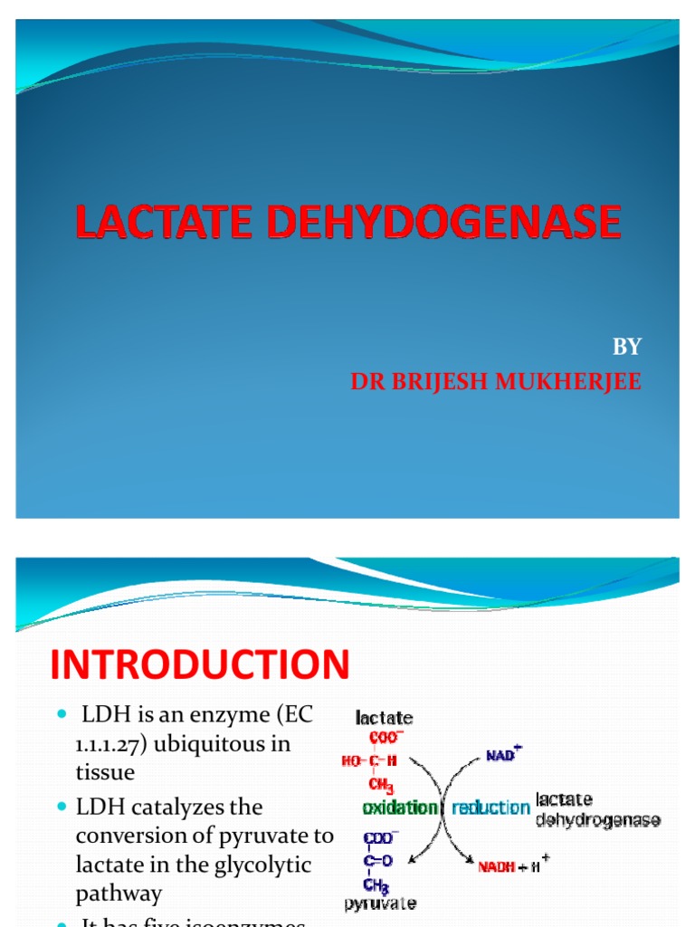 LDH | Lactate Dehydrogenase | Gel Electrophoresis