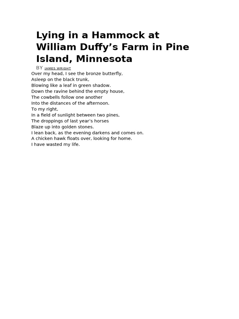 Lying in A Hammock at William Duffy | PDF