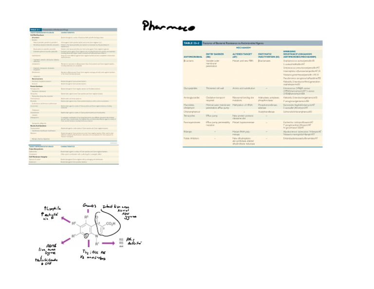 Notability Notes | PDF