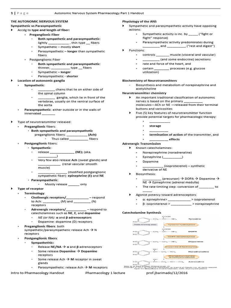 ANS Pharmacology Part 1 Handout PDF | PDF