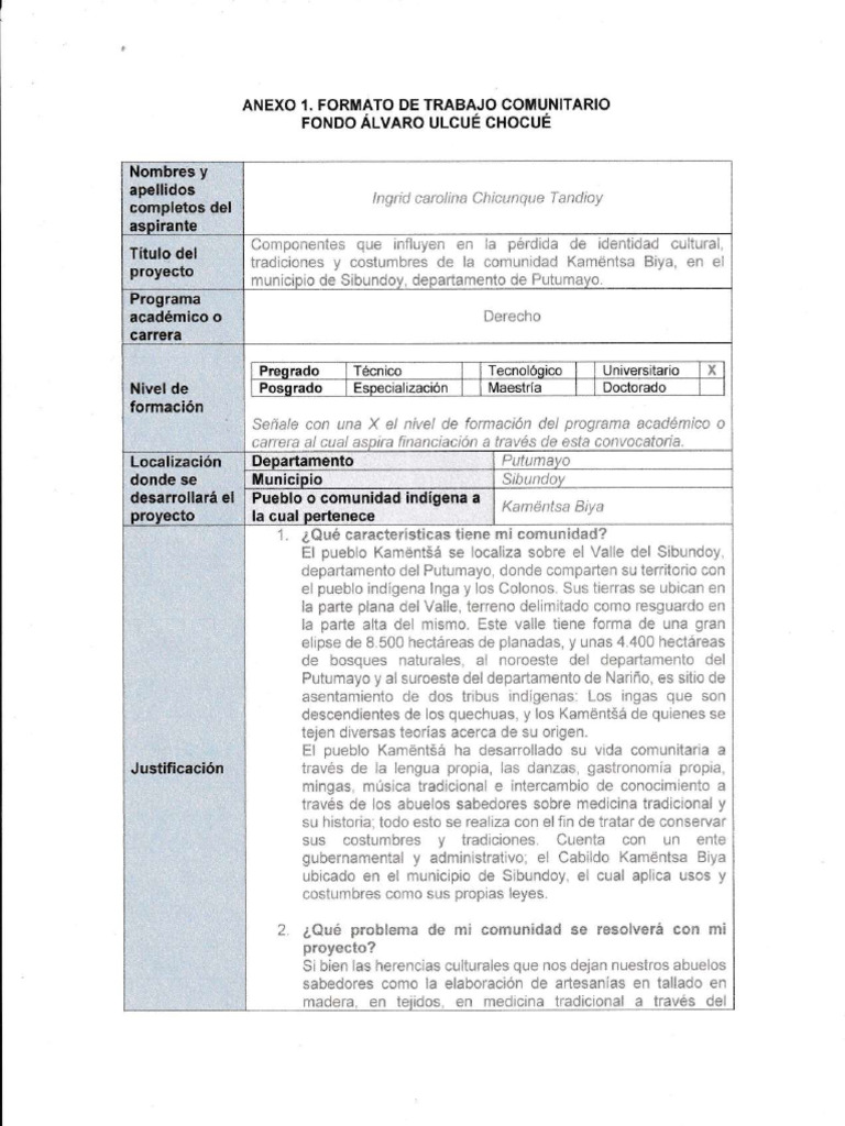 ANEXO-1 Compressed Merged | PDF