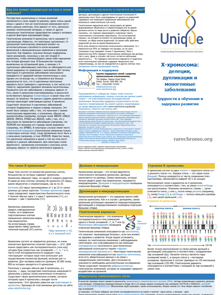 X Chromosome Deletions Duplications and Single Gene Disorders Russian ...