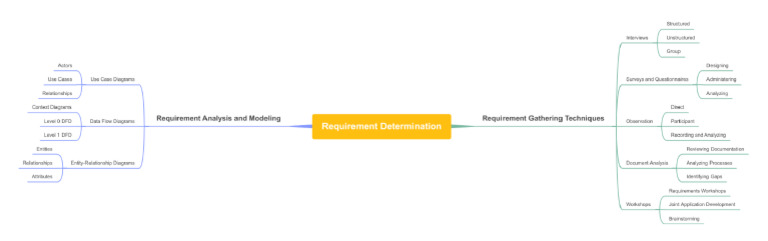 System Design: Requirement Determination | PDF