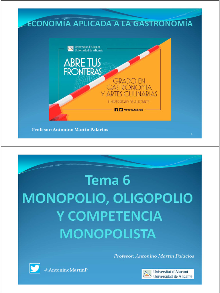 06 - TEMA 6 MONOPOLIO OLIGOPOLIO Y COMPETENCIA MONOPOLÍSTICA Parte 1 de 3 | PDF