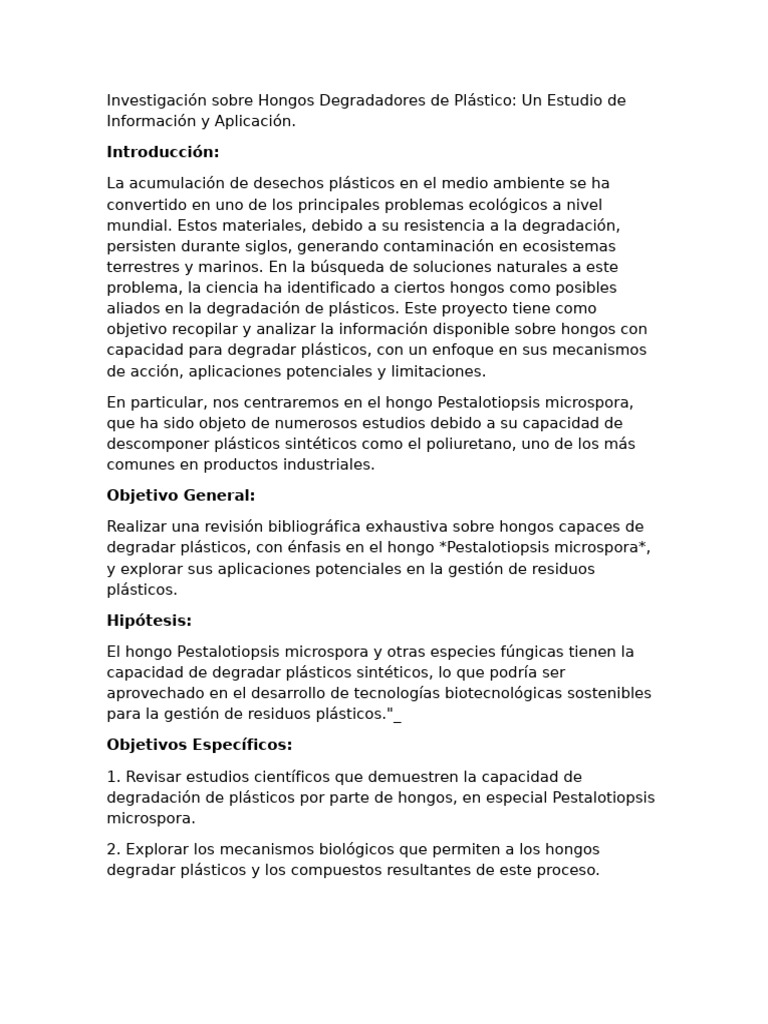 Proyecto 8vo | PDF
