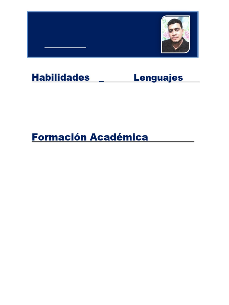 Curriculum Allan Alberto Elvir | PDF
