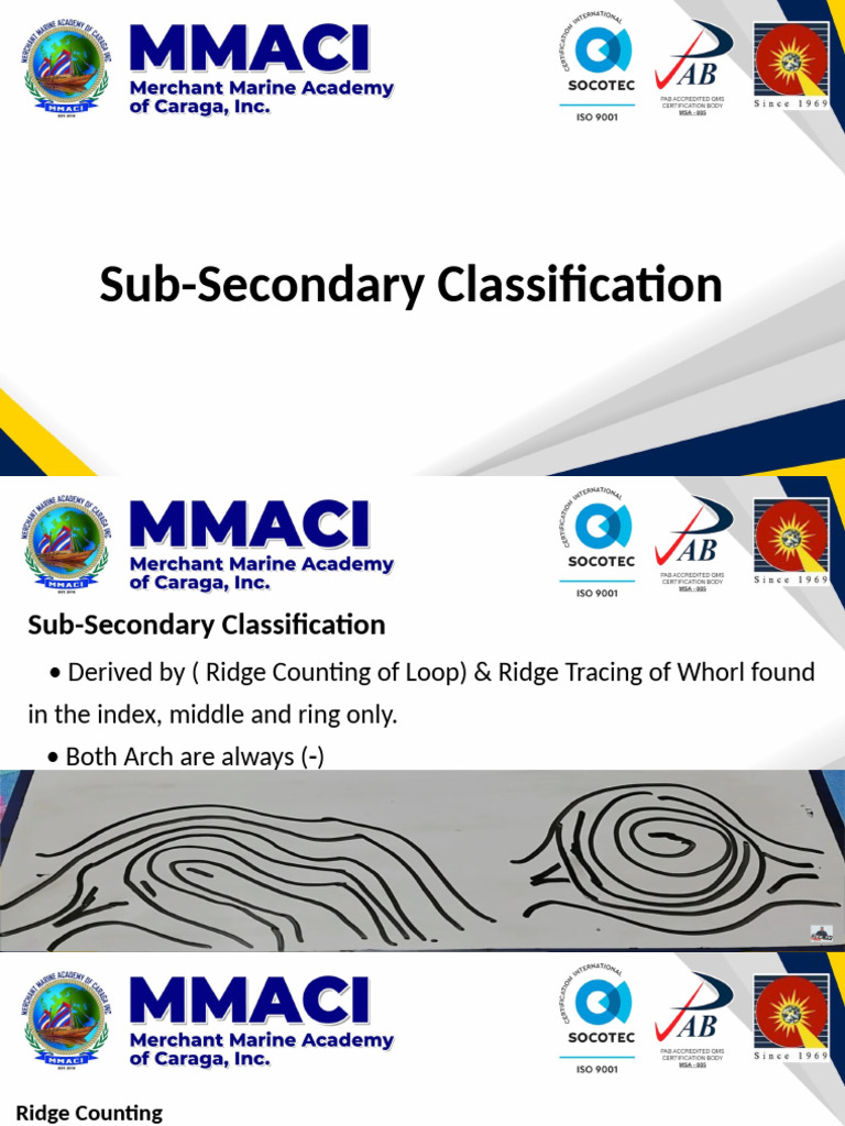 Sub-secondary Classification of Fingerprint (1) | PDF
