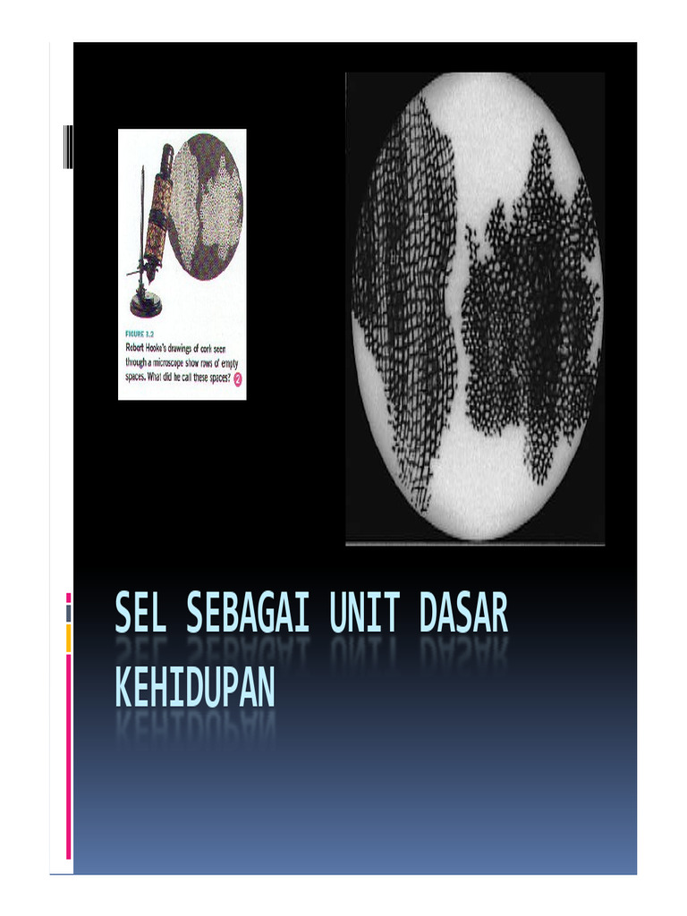 Materi 2 Sel | PDF