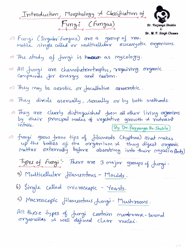 Introduction, Morphology, And Classification of Fungi | PDF