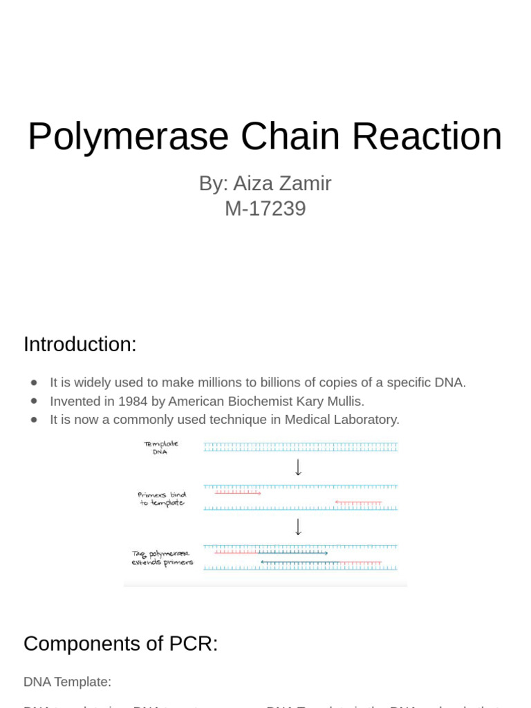 Polymerase Chain Reaction | PDF
