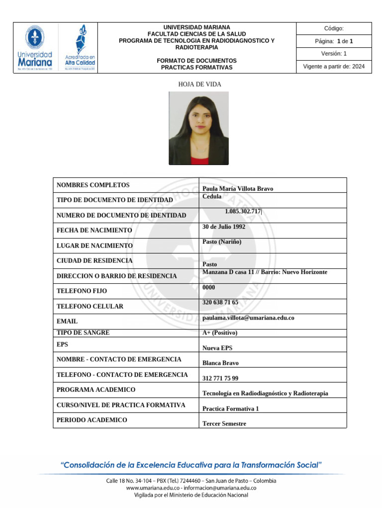 Formato Documentos - Práctica Formativa | PDF