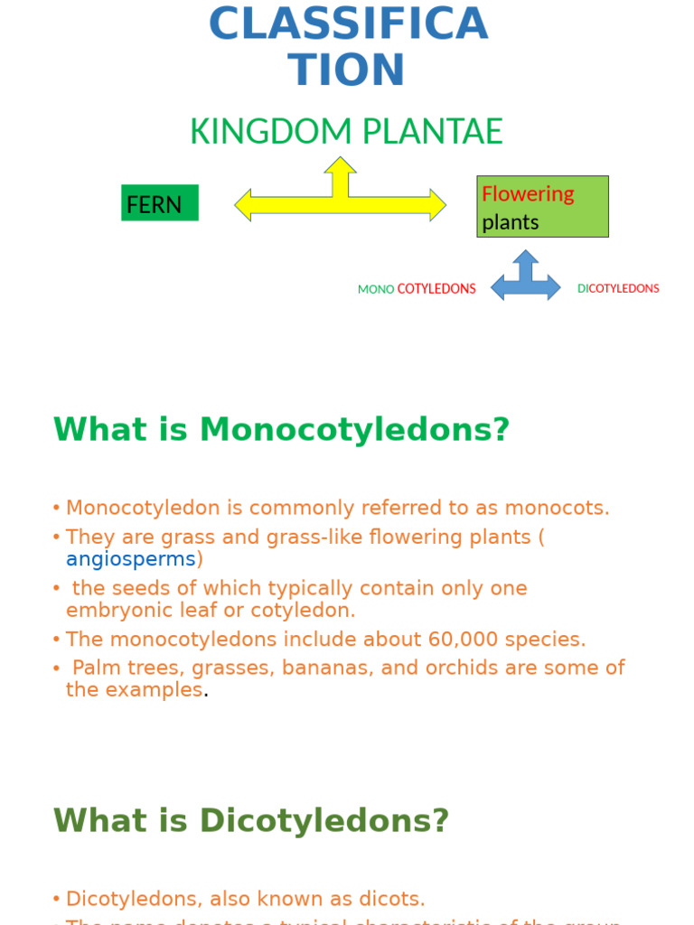 Classification of Plants | PDF