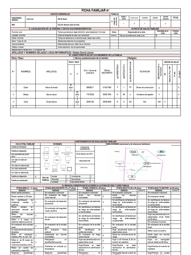 FICHA FAMILIAR ULTIMA Sis | PDF