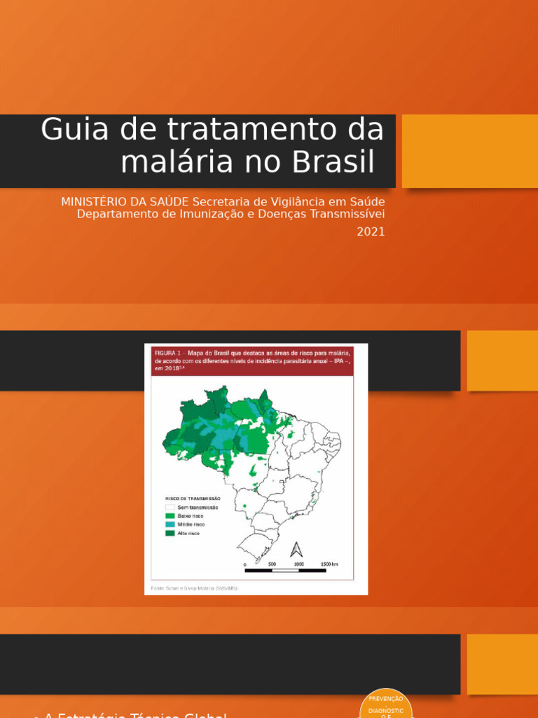 Guia de Tratamento Da Malaria No Brasil | PDF