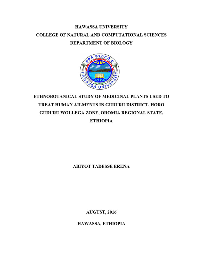 Abiyot Tadesse Final Thesis | PDF