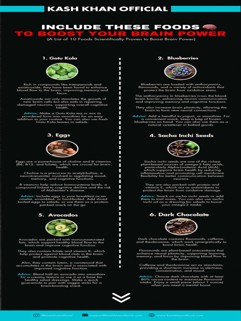 Include These Foods To Boost Your Brain Power | PDF | Brain | Neuron