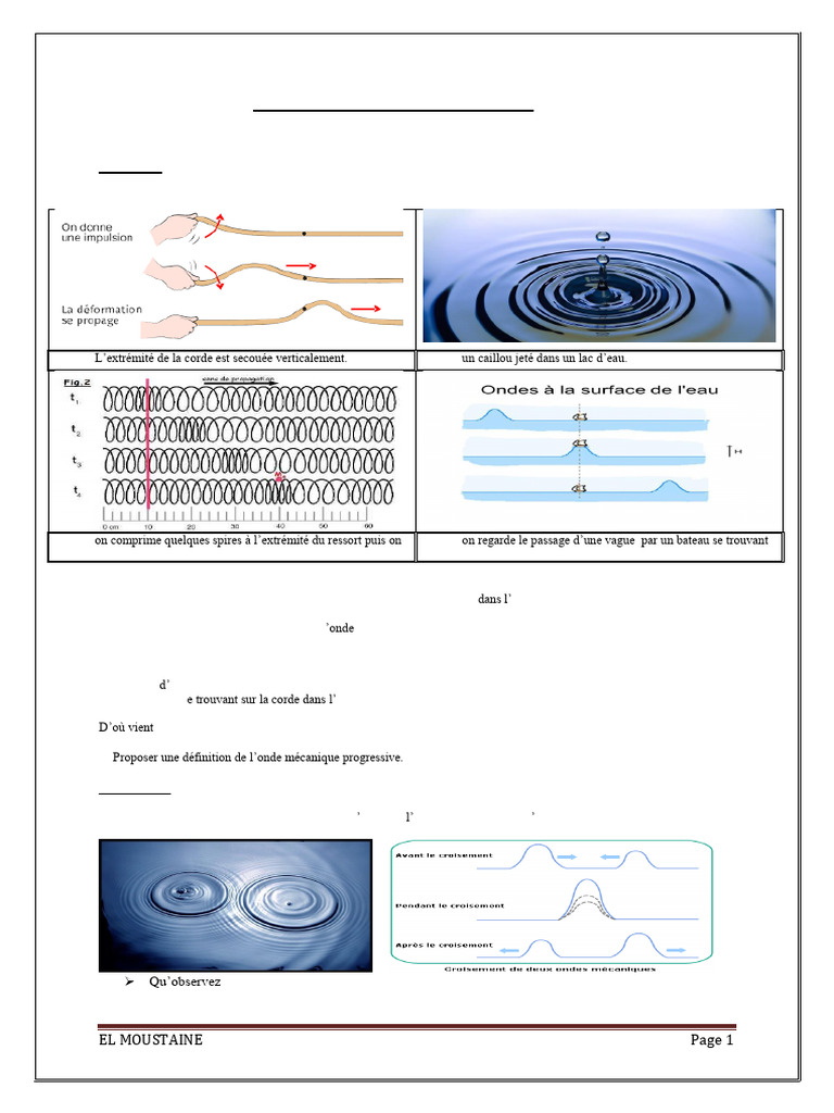 Lecon 1 Phys 2BAC BIOF | PDF