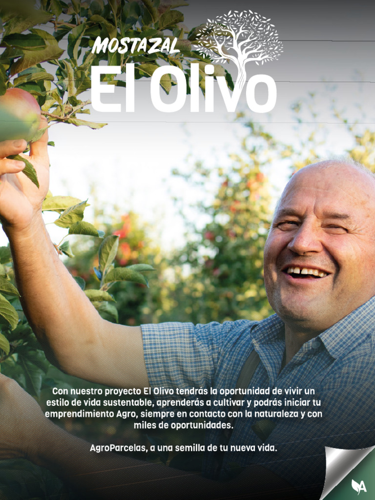 El Olivo | PDF