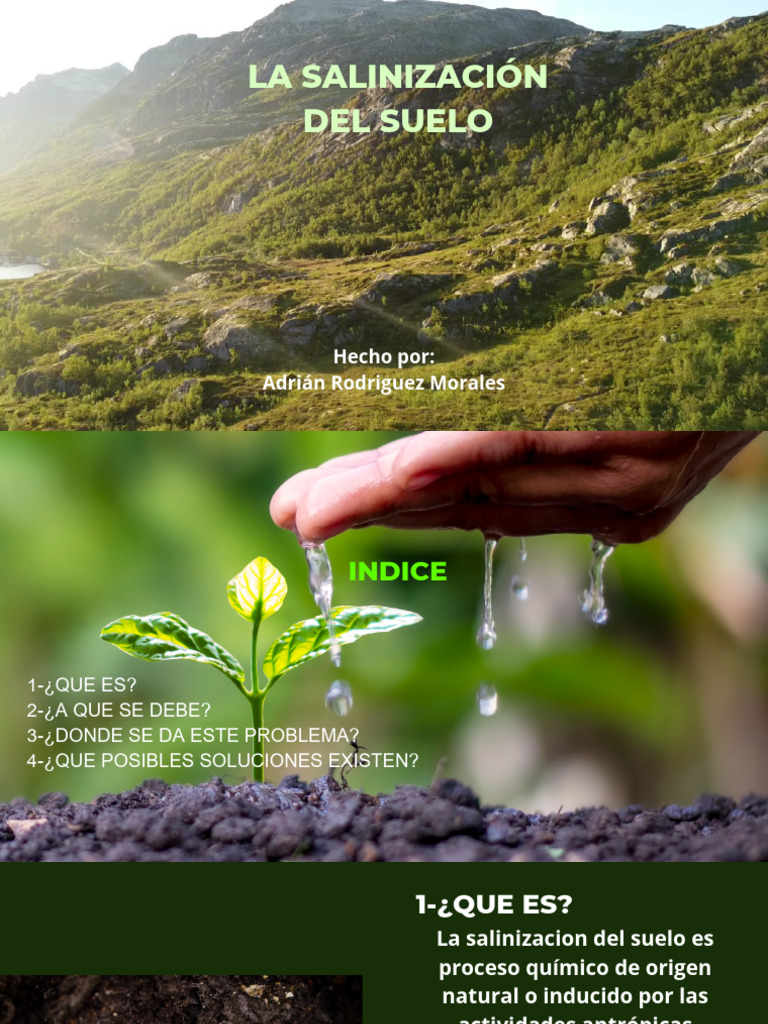 La Salinizacion Del Suelo | PDF
