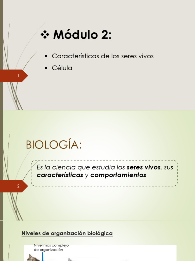 Módulo 2 | PDF