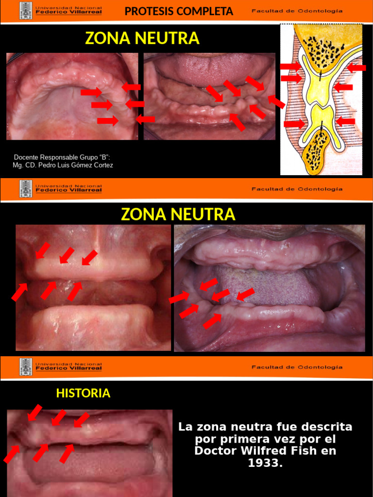 8 Clase 8 Zona Neutra PC | PDF