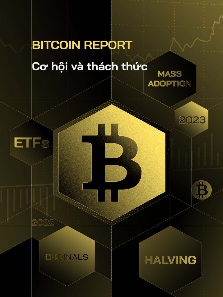 Bitcoin Report 2024 | PDF