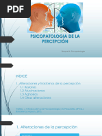 Acinetopsia | PDF | Enxaqueca | Percepção visual